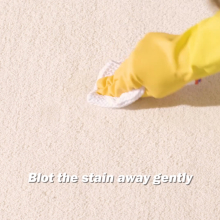 How to Remove Fruit Juice Stains – Rug Doctor