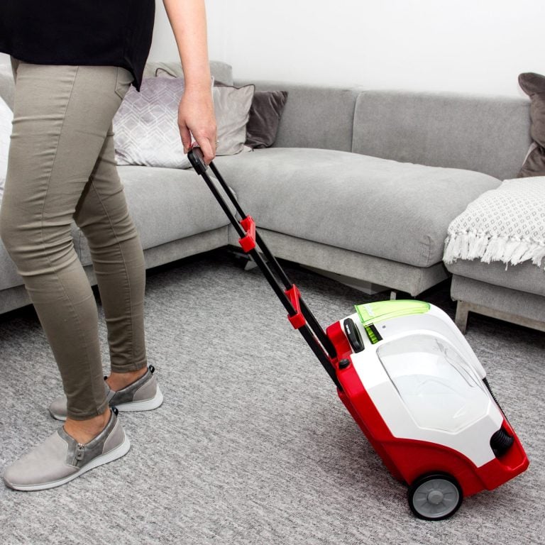 Rug Doctor Pet Portable Spot Cleaner